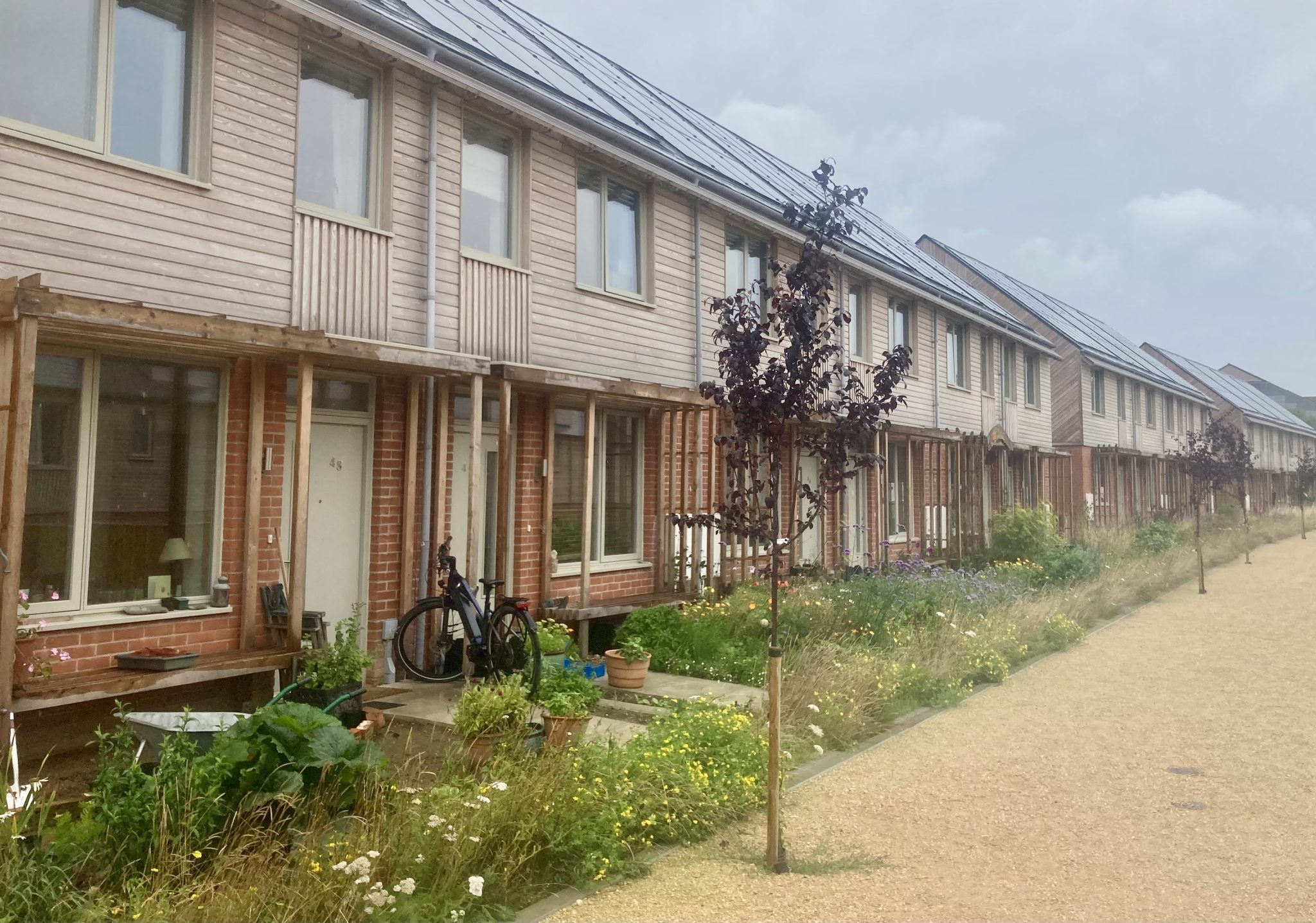 UK's largest and most innovative cohousing scheme opens! - UK Cohousing ...